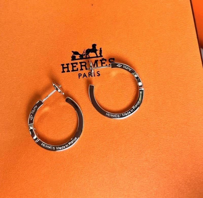 Mirror quality Hermes Earrings