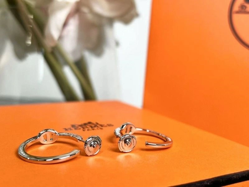 Mirror quality Hermes Earrings