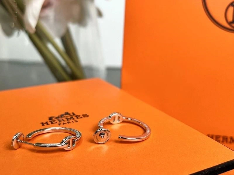 Mirror quality Hermes Earrings