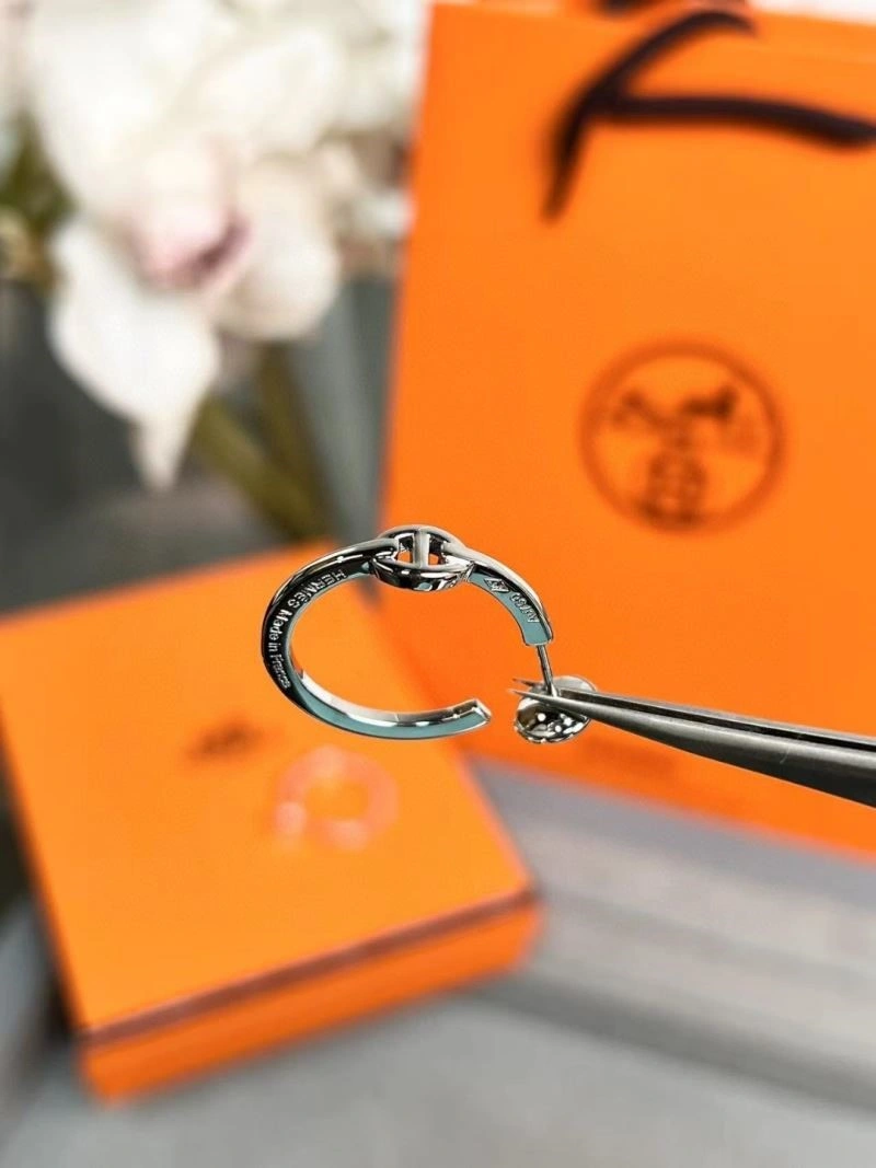 Mirror quality Hermes Earrings