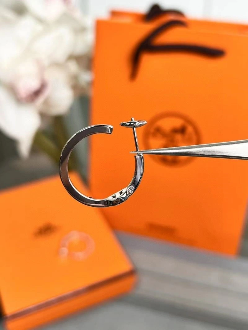 Mirror quality Hermes Earrings