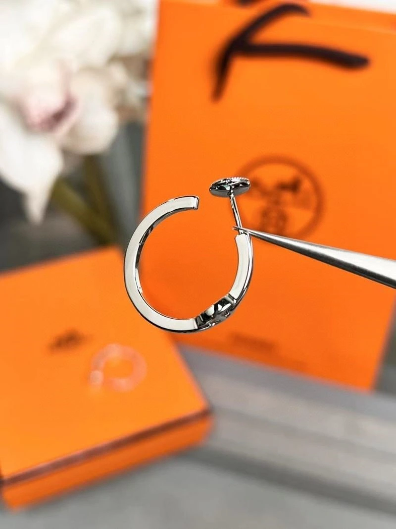 Mirror quality Hermes Earrings