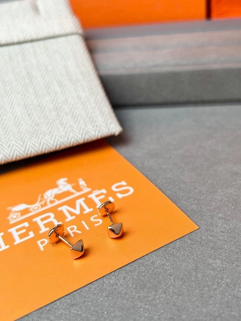 High accuracy Hermes Earrings