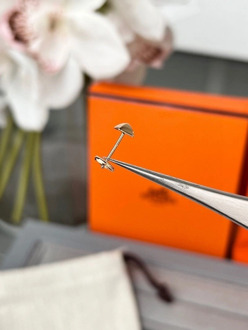 High accuracy Hermes Earrings