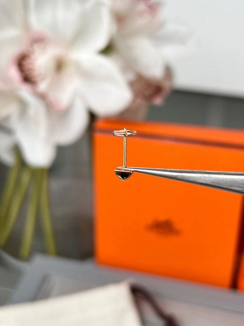 High accuracy Hermes Earrings