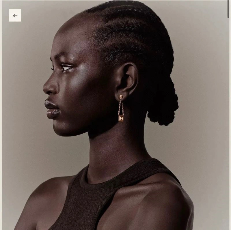 Hermes Earrings