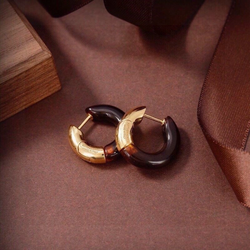 Top mirror Hermes Earrings