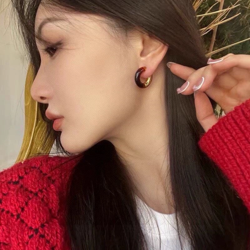 Top mirror Hermes Earrings