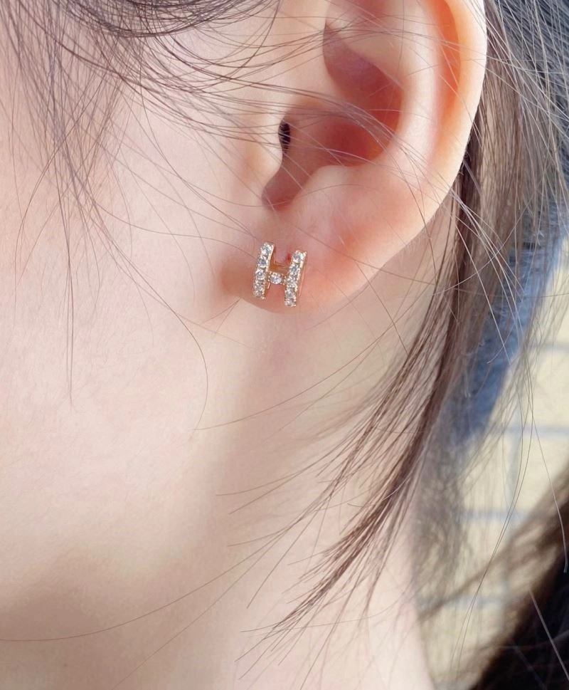 High fidelity Hermes Earrings