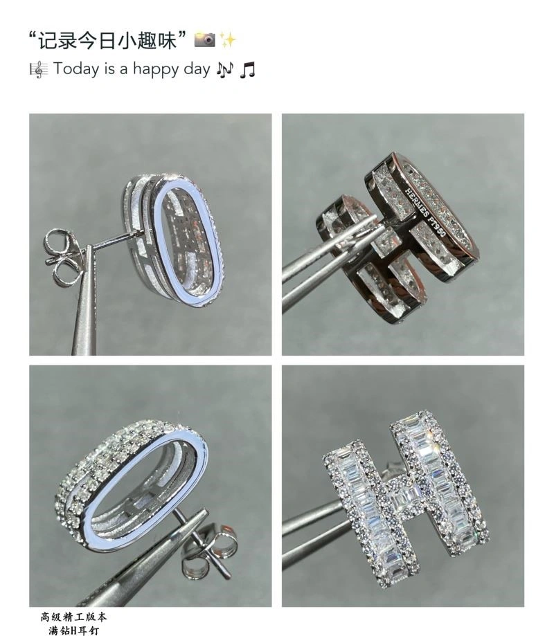 Value-priced Hermes Earrings