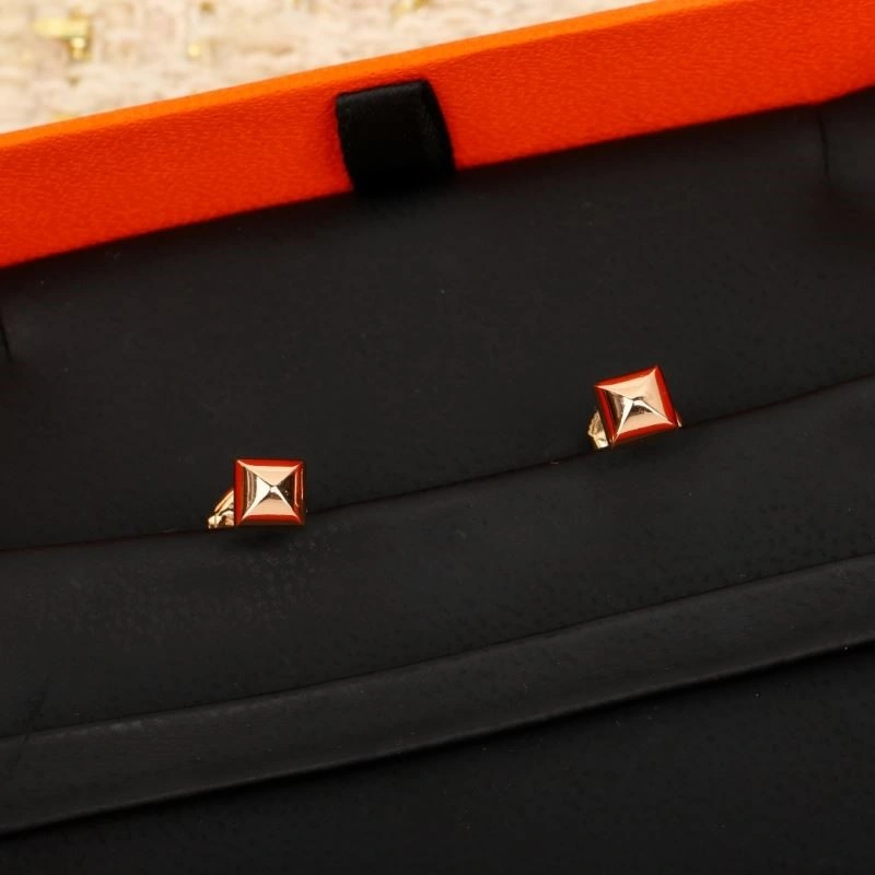 Indistinguishable Hermes Earrings