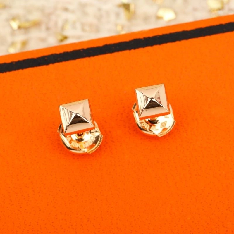 Indistinguishable Hermes Earrings