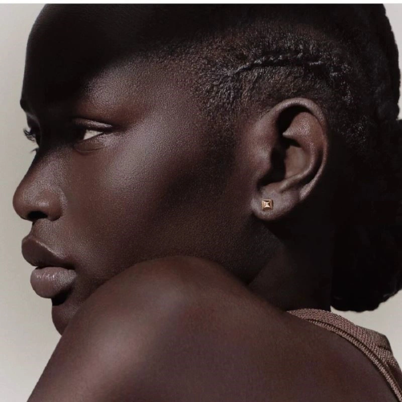 Indistinguishable Hermes Earrings