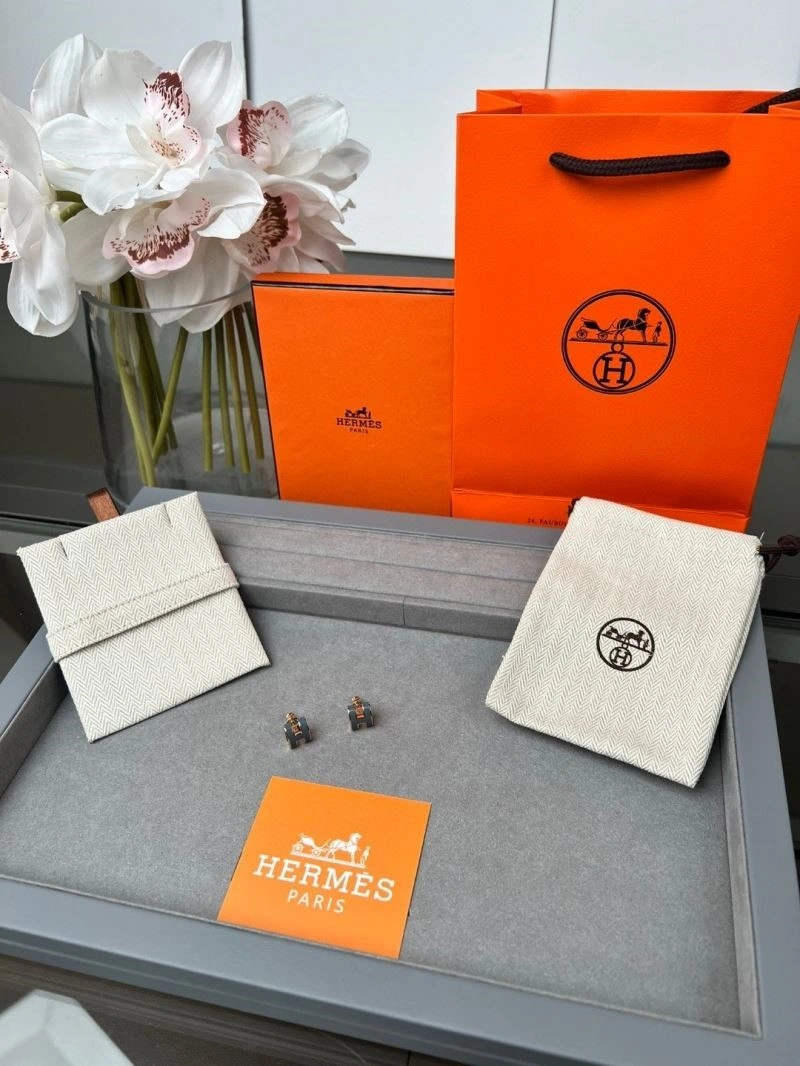 Hermes Earrings