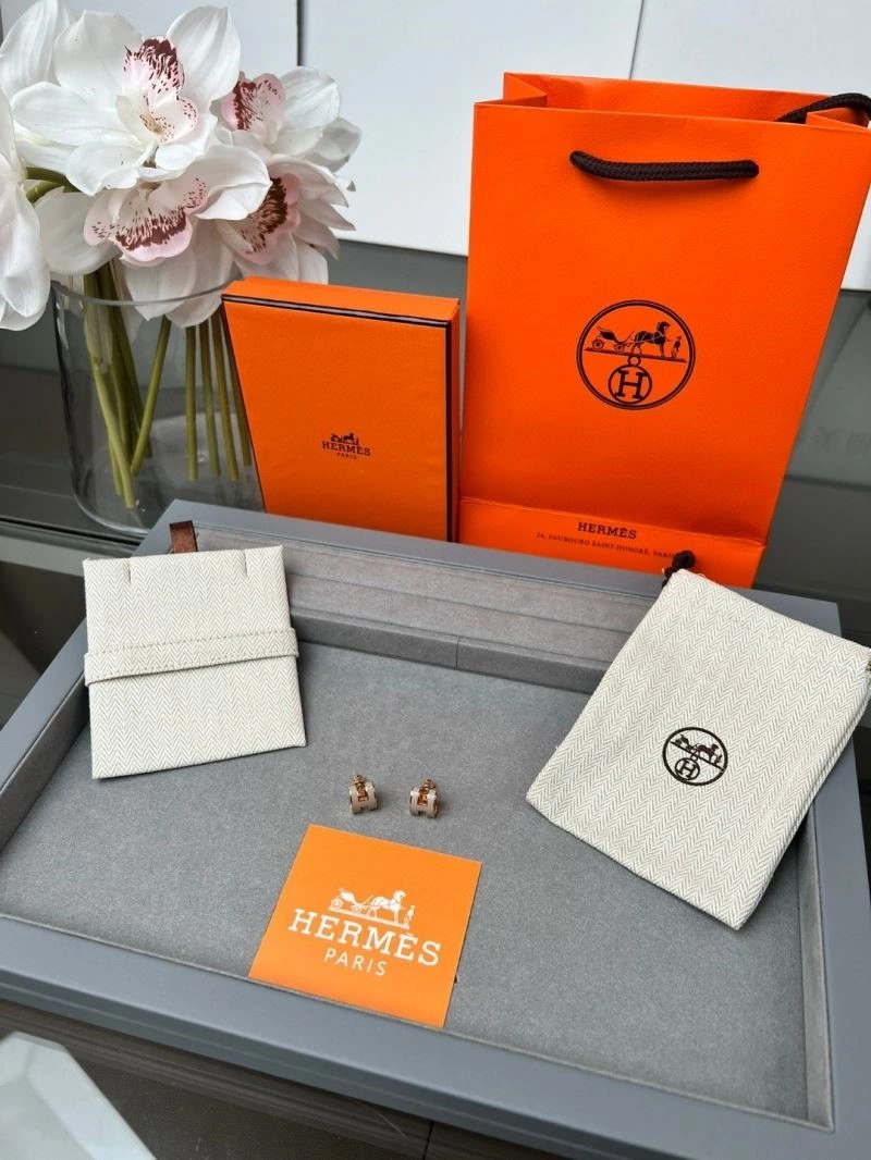 High accuracy Hermes Earrings