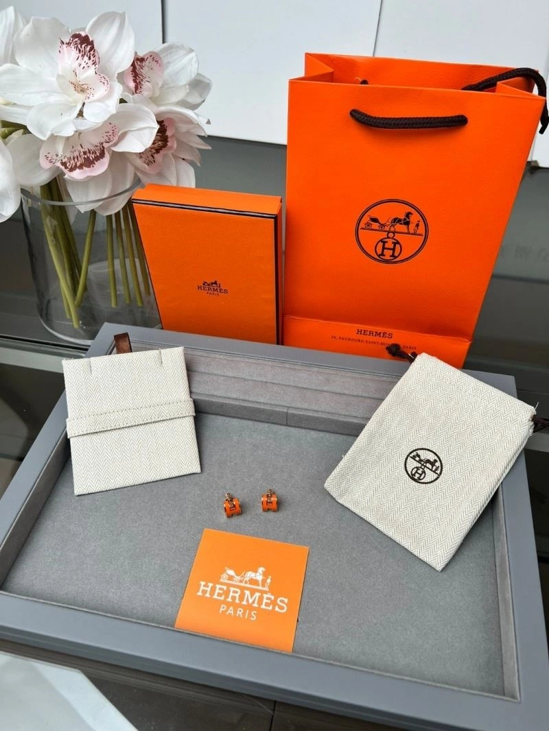 Hermes Earrings