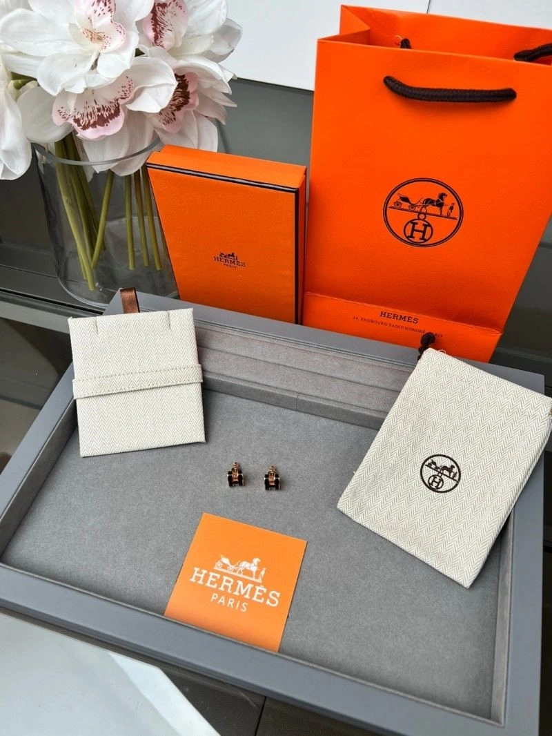 Legit Hermes Earrings