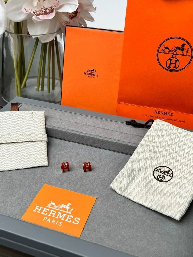 Reasonably priced Hermes Earrings