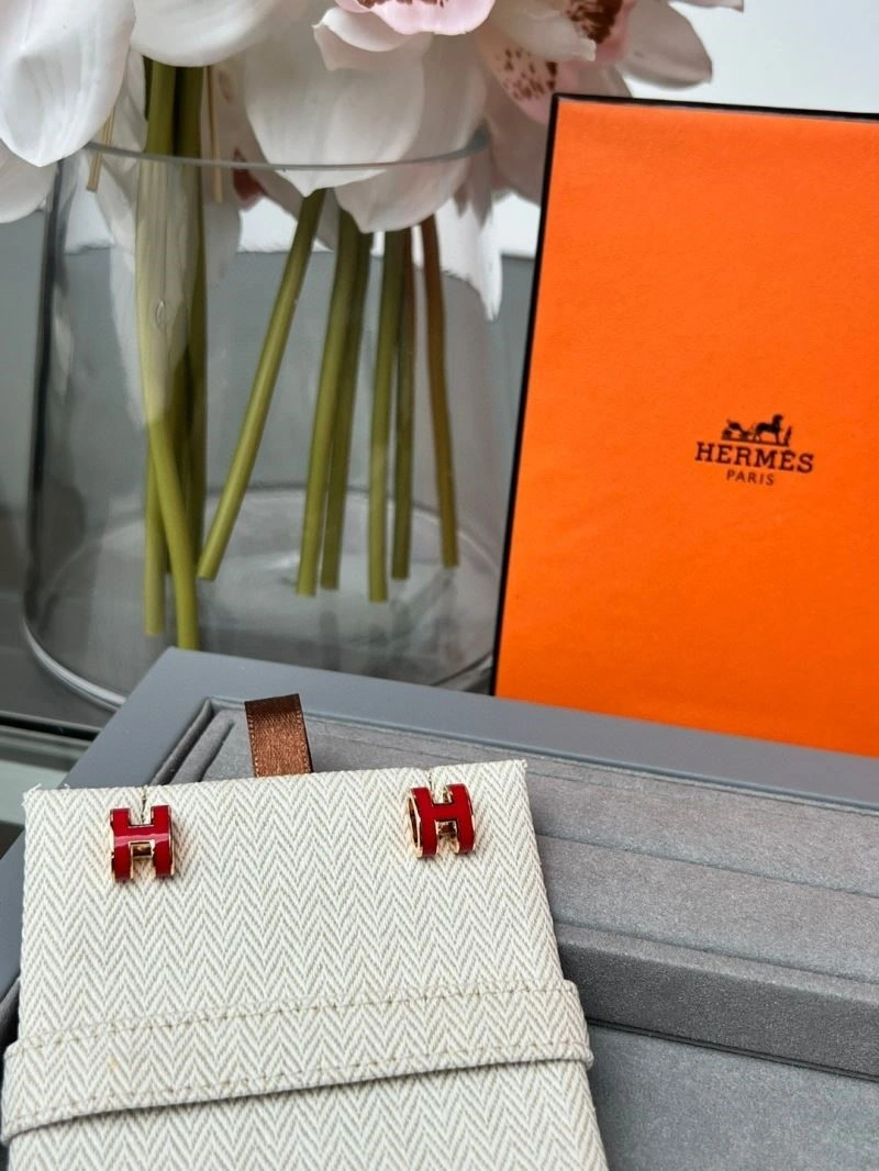 Reasonably priced Hermes Earrings