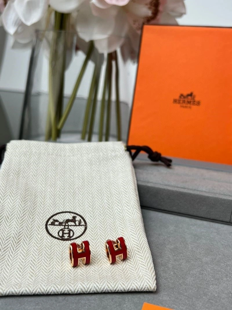Reasonably priced Hermes Earrings