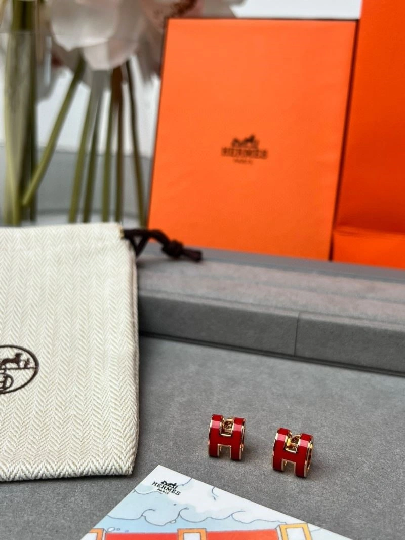 Reasonably priced Hermes Earrings