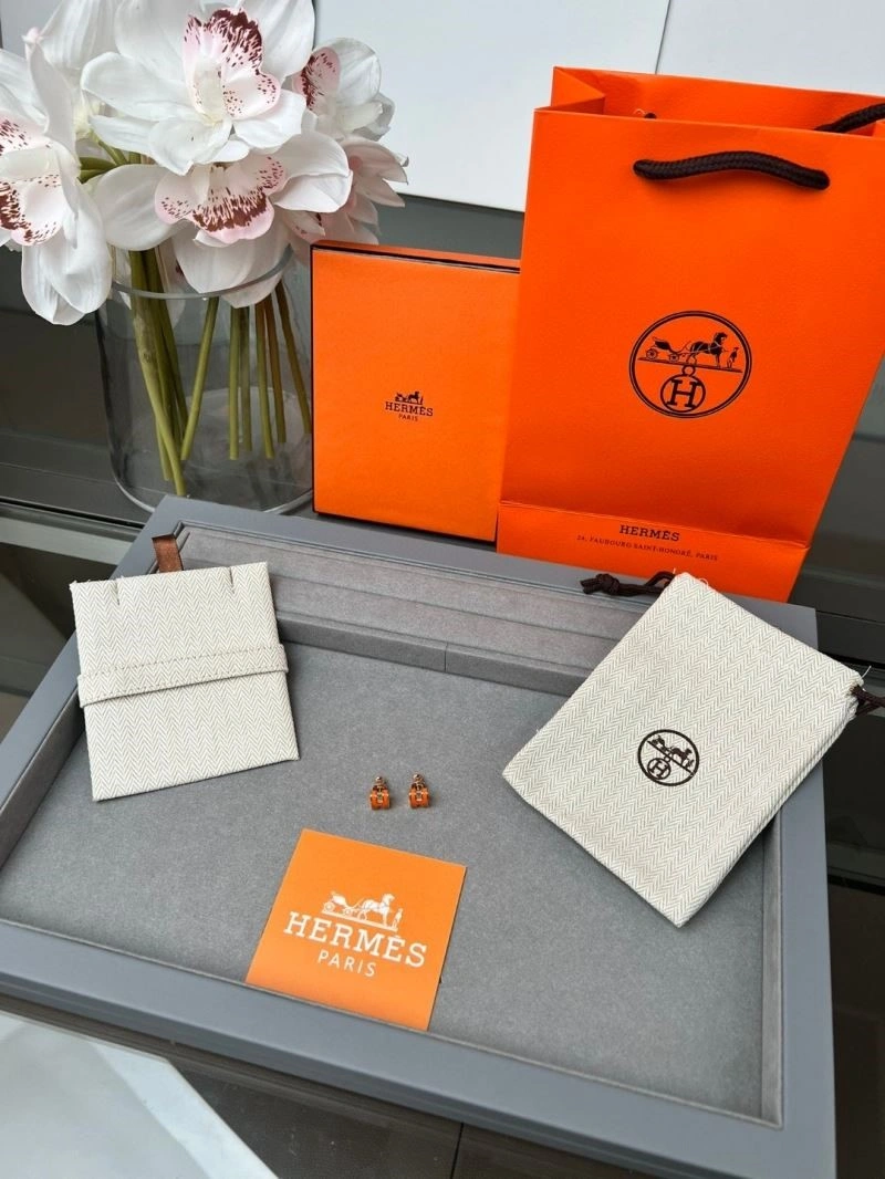 Hermes Earrings