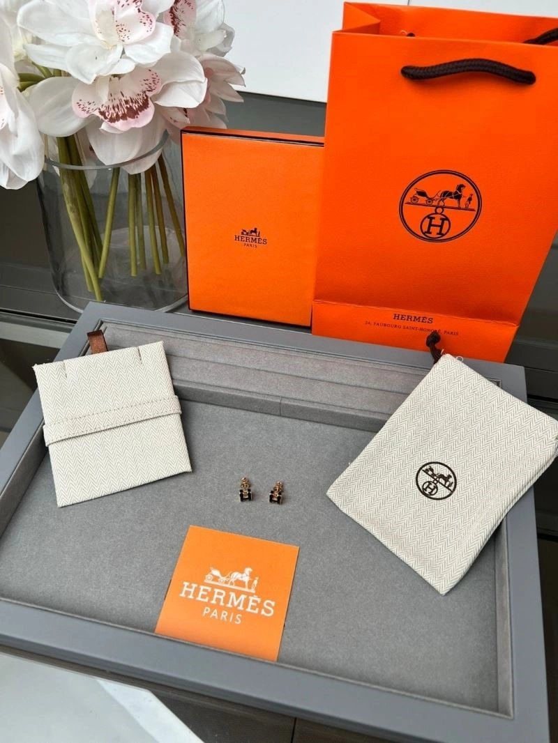 Value-priced Hermes Earrings