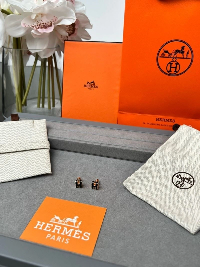 Value-priced Hermes Earrings