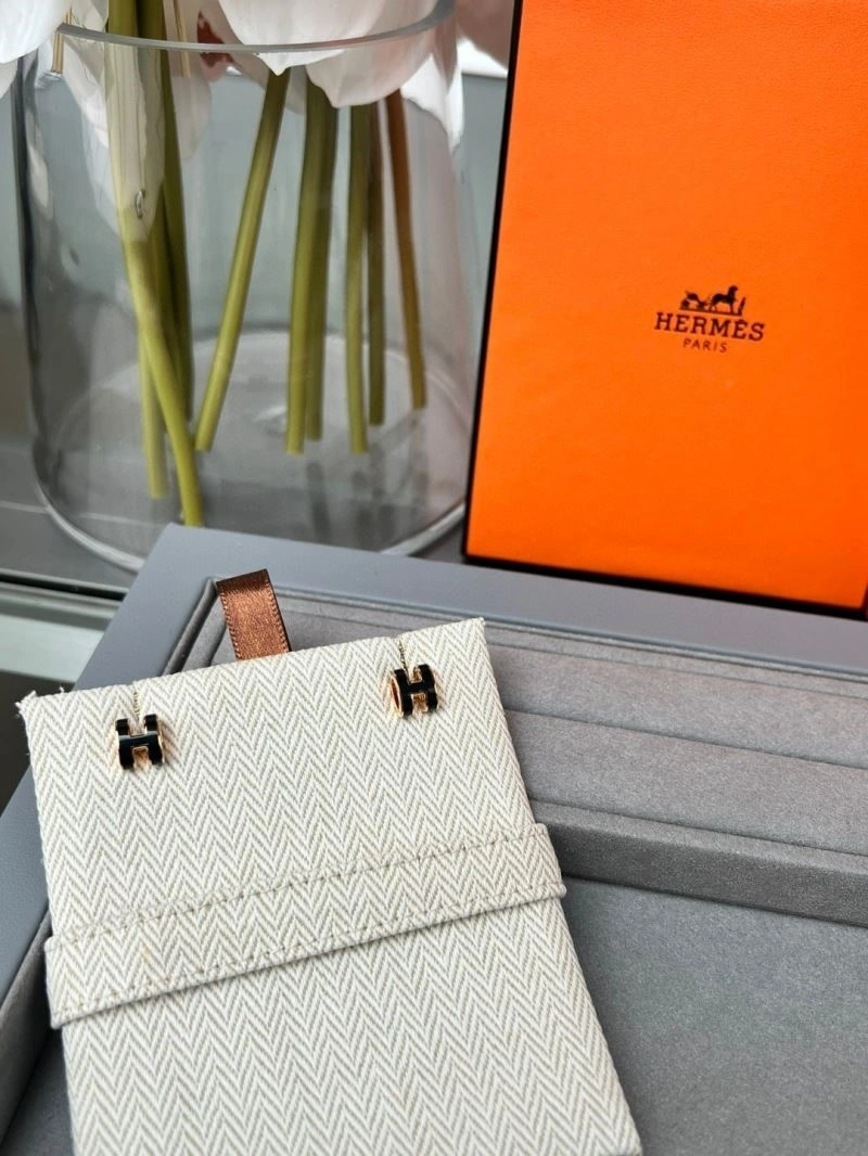 Value-priced Hermes Earrings