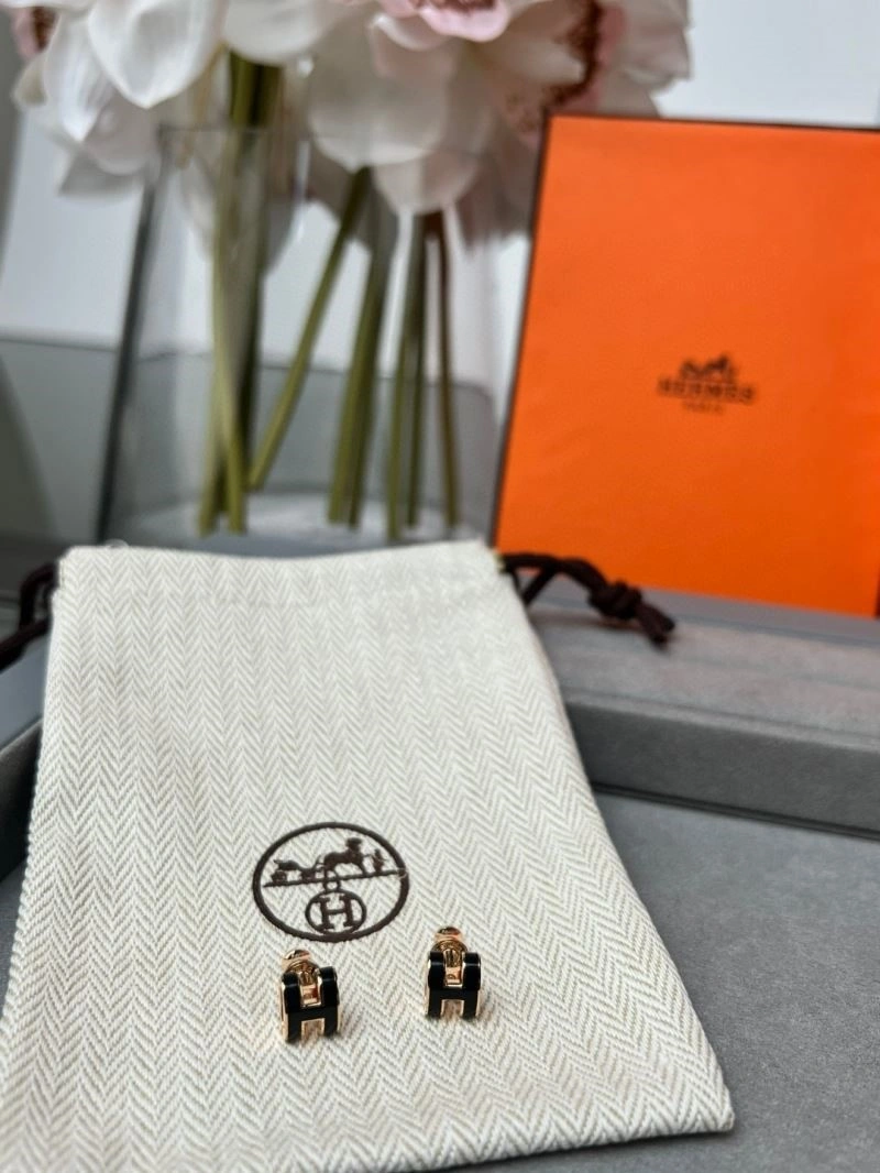Value-priced Hermes Earrings