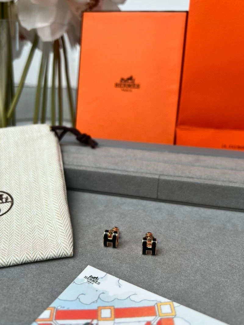 Value-priced Hermes Earrings