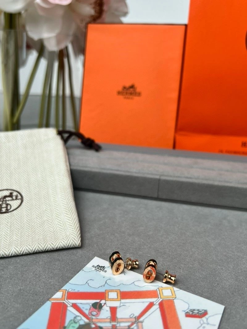 Value-priced Hermes Earrings