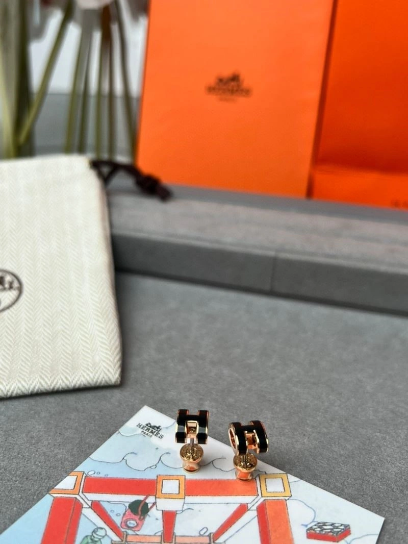 Value-priced Hermes Earrings