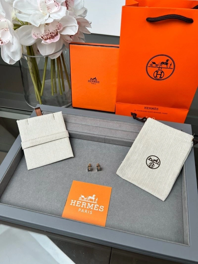Hermes Earrings