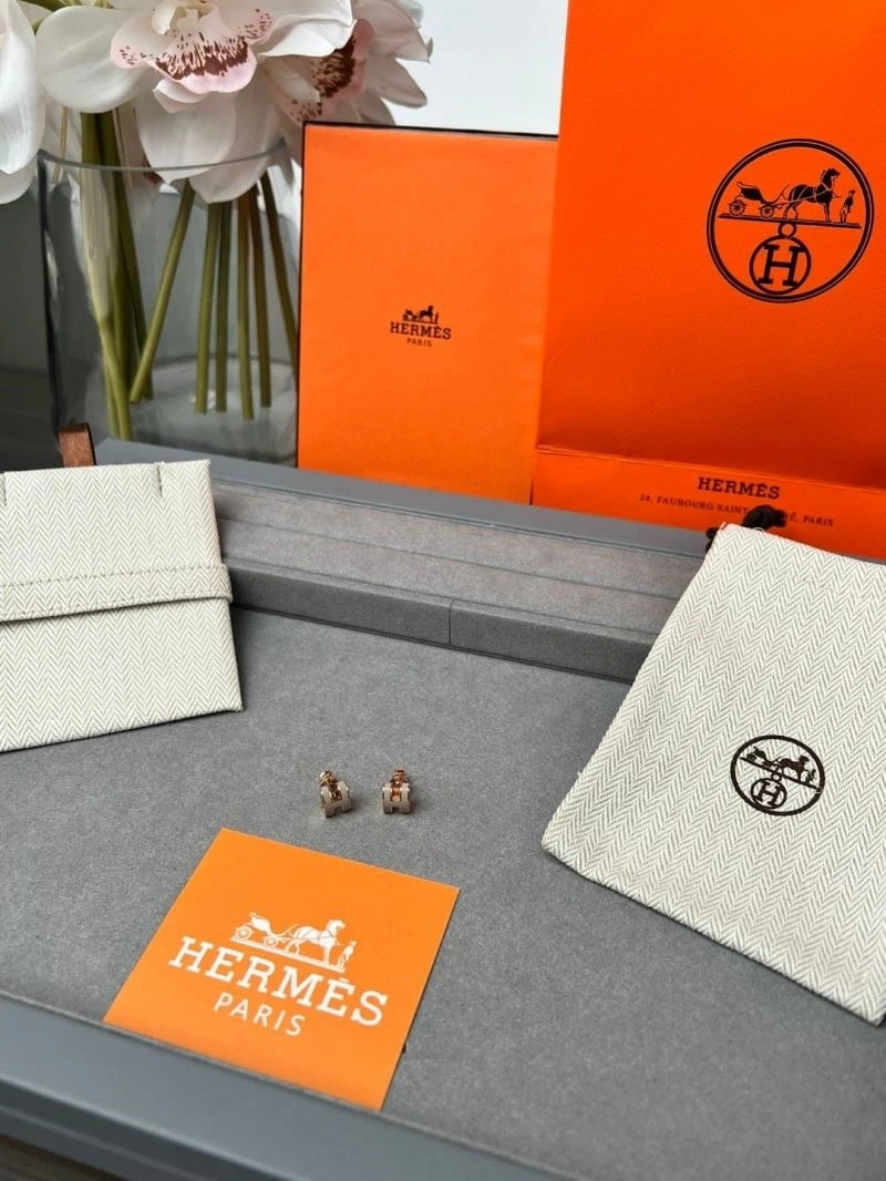 Economical Hermes Earrings