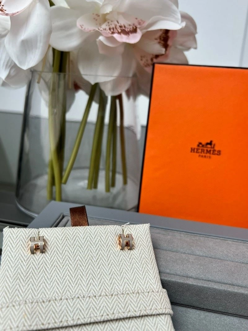 Economical Hermes Earrings