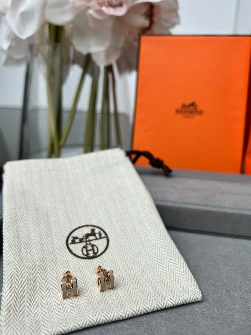 Economical Hermes Earrings