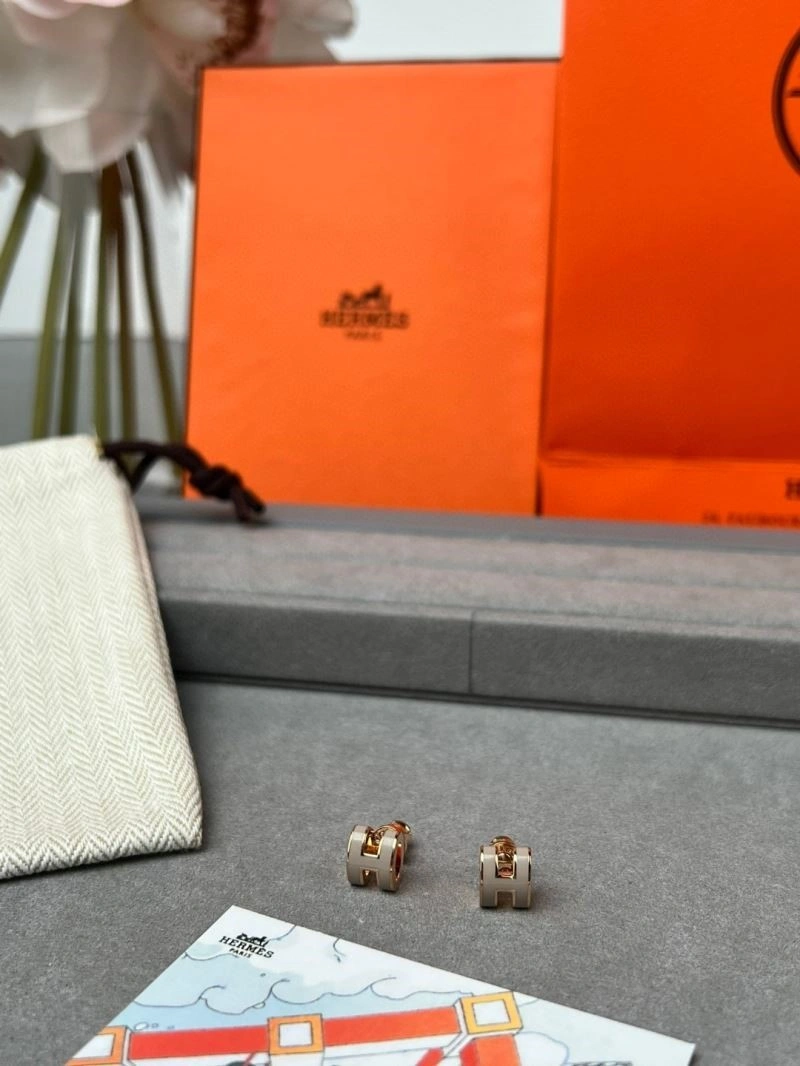Economical Hermes Earrings