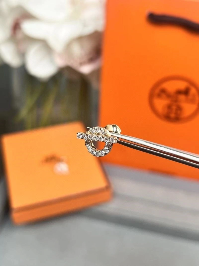 Original Hermes Earrings