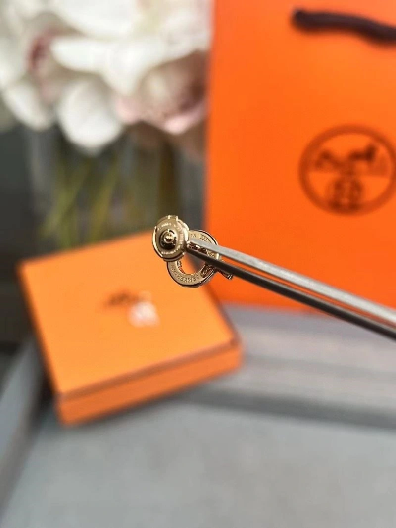 Original Hermes Earrings