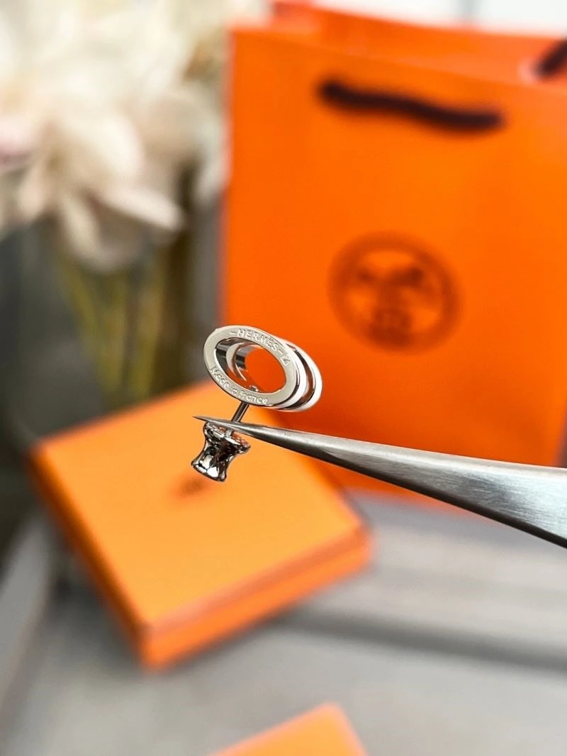 Budget-friendly Hermes Earrings