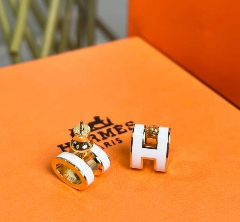 Indistinguishable Hermes Earrings