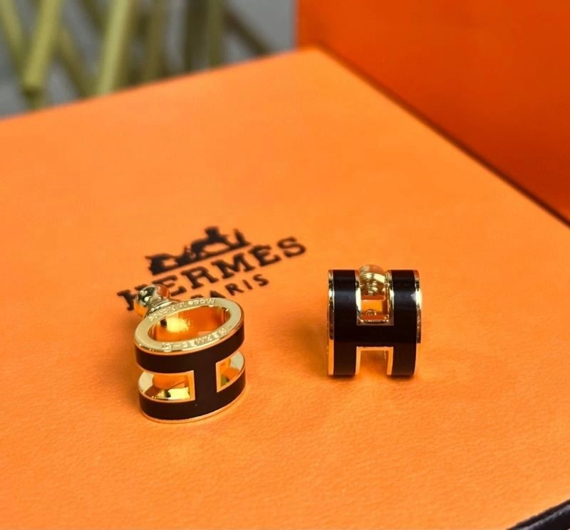 High accuracy Hermes Earrings