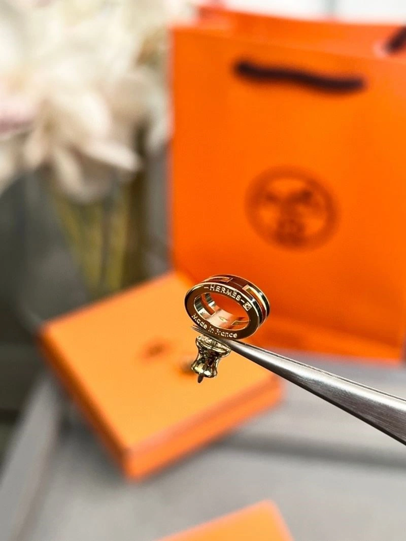High accuracy Hermes Earrings