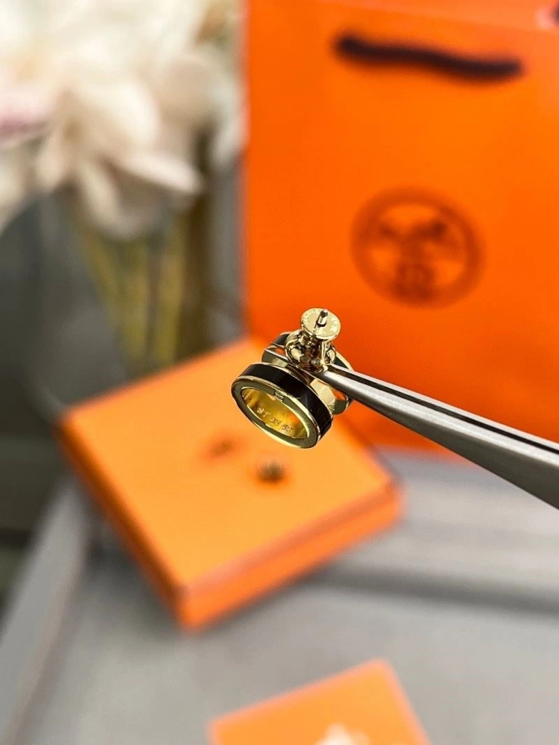 High accuracy Hermes Earrings