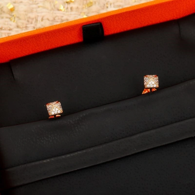 High fidelity Hermes Earrings