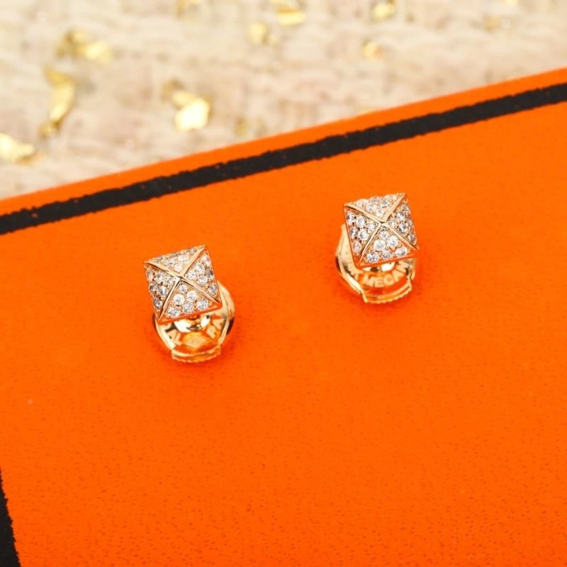 High fidelity Hermes Earrings