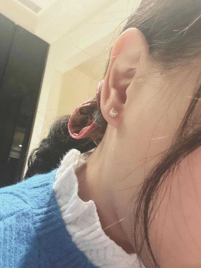 High fidelity Hermes Earrings