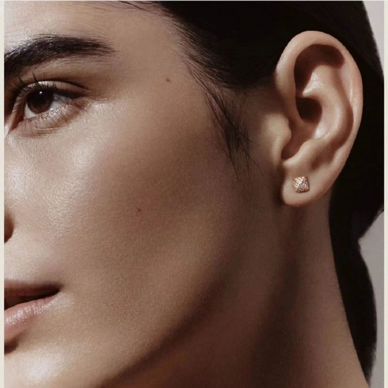 High fidelity Hermes Earrings