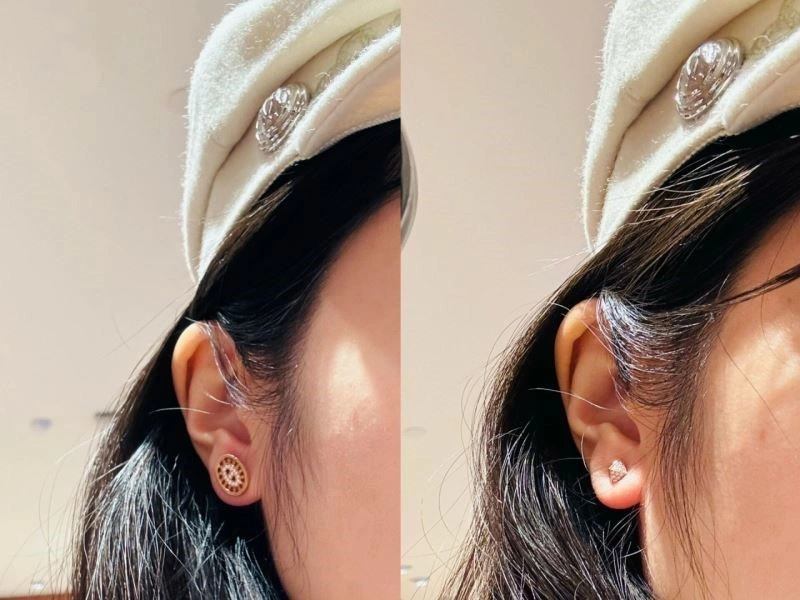 High fidelity Hermes Earrings